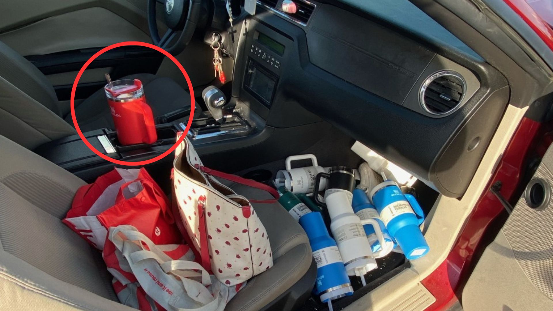 Woman Busted For Massive Stanley Cup Heist - Backfire News
