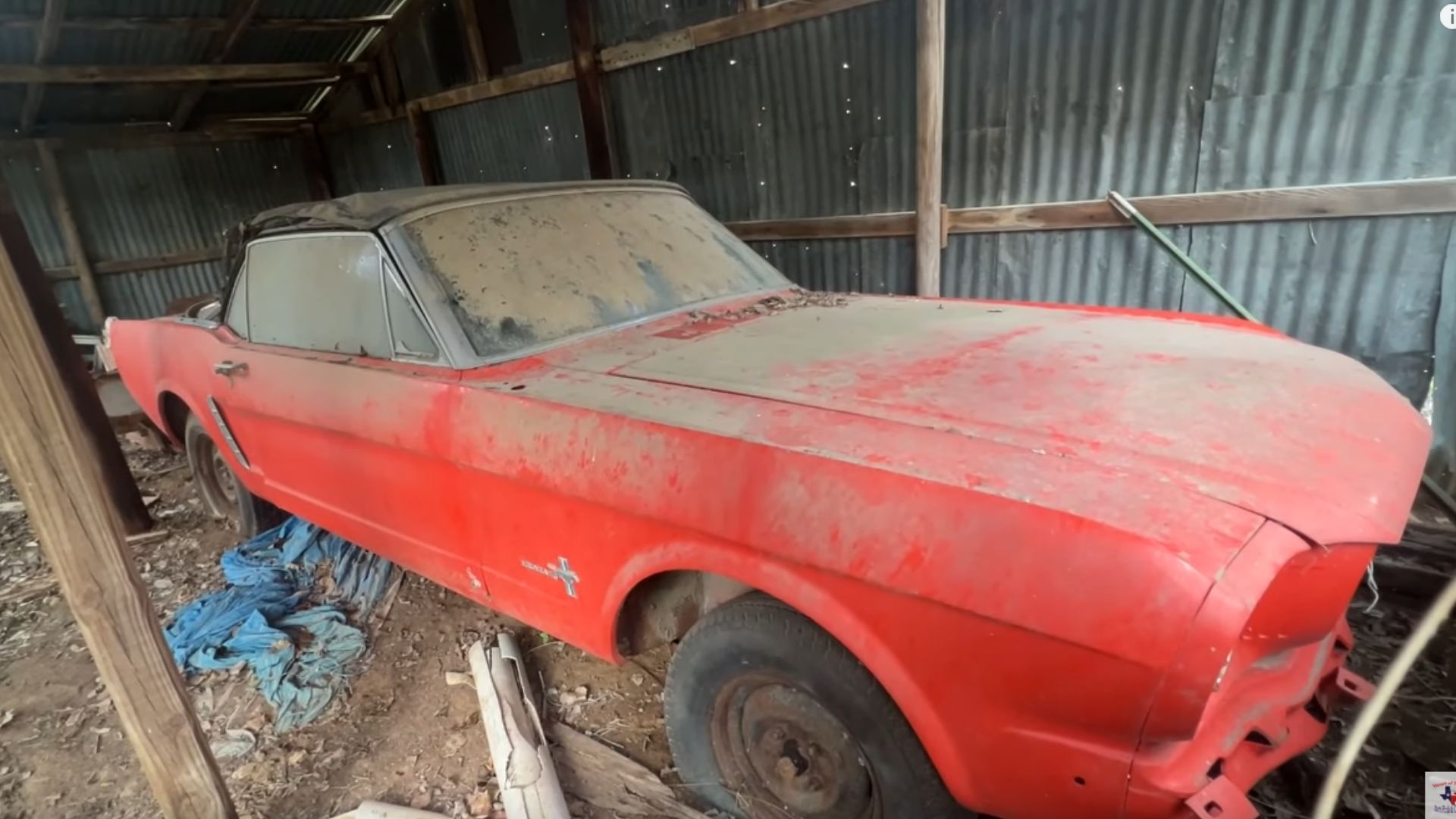 1965 Mustang Convertible Barn Find Is A Hot Mess - Backfire News