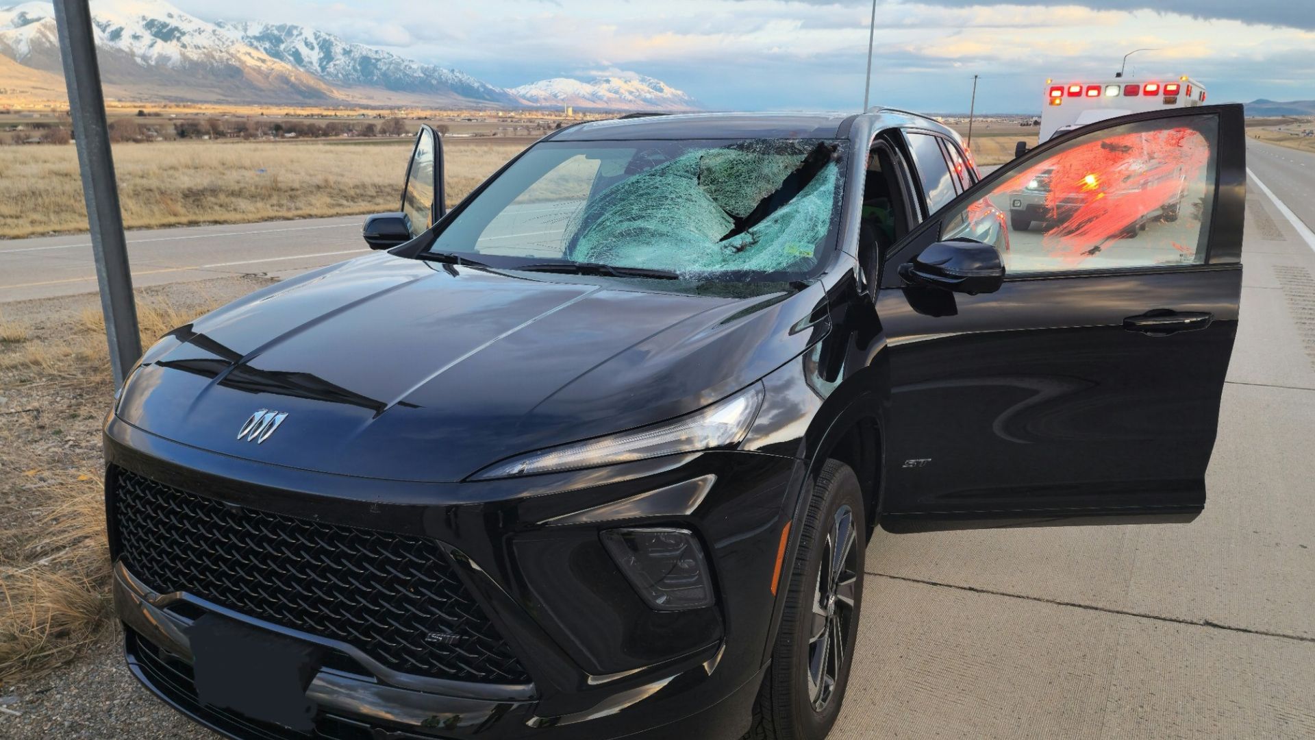 Wild Turkey Slices Through A Car’s Windshield - Backfire News