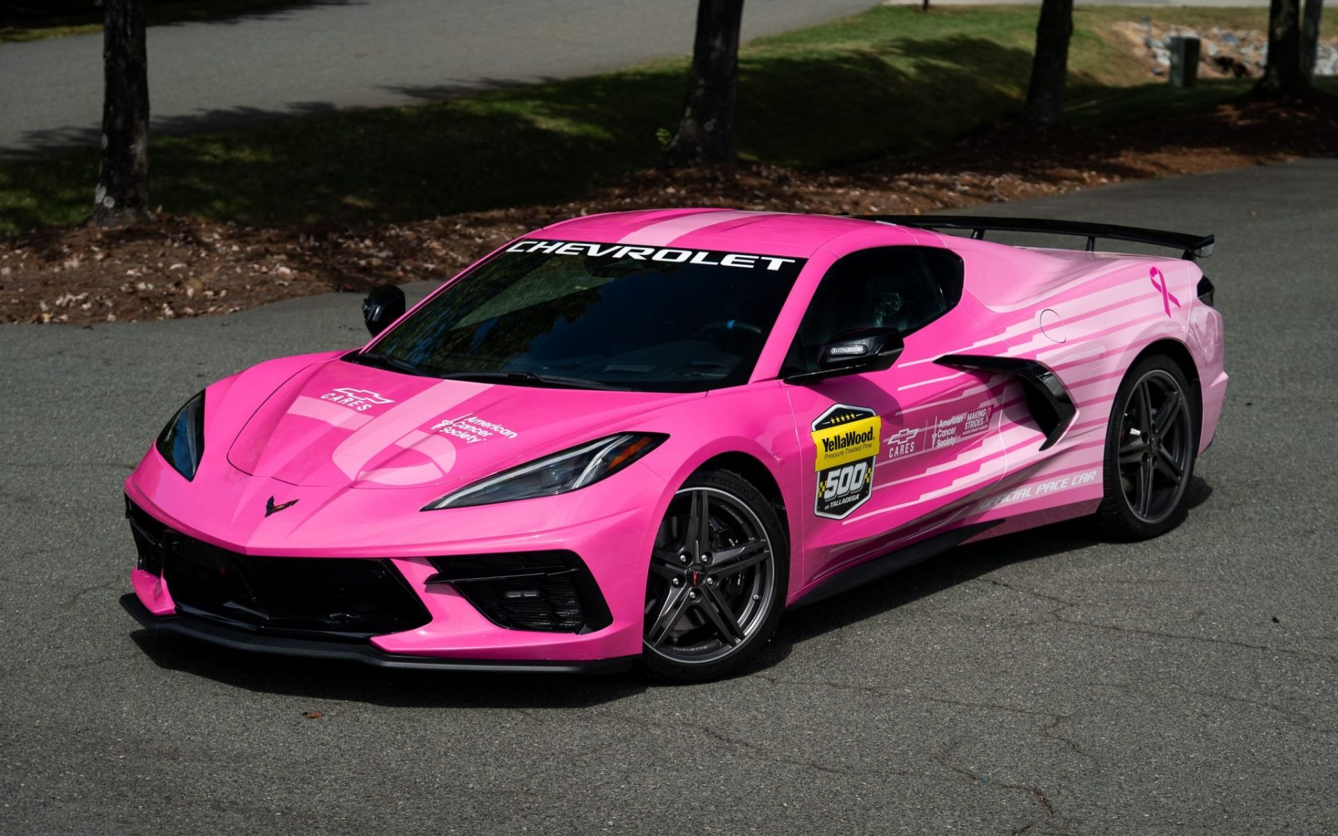 Pink Corvette Stingray To Lead NASCAR’s Talladega Race as Pace Car ...