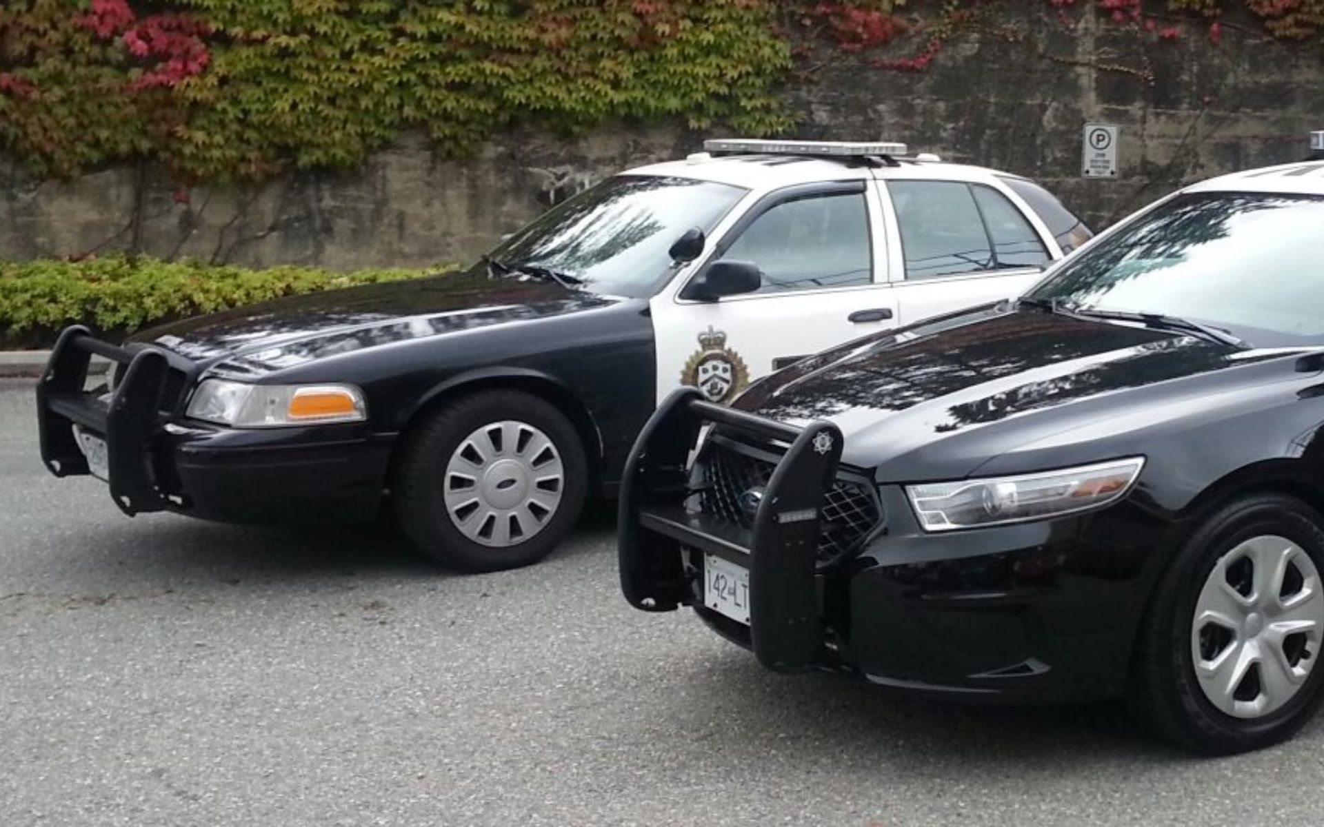 Honk, Gunfire, House Arrest: Road Rage Case Reaches a Breaking Point on ...